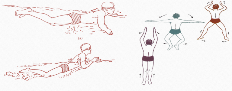 Swimming: History, Pool dimensions, Rules and Regulations | Sports and ...