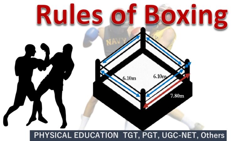Boxing Quiz: How Well Do You Know the Sport? | Sports and Physical ...