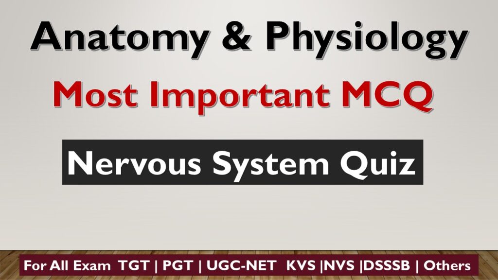 Nervous System Quiz: 20 + Important MCQs to Boost Your PE Preparation ...