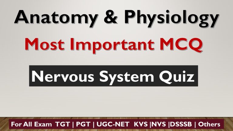 Nervous System Quiz: 20 + Important MCQs to Boost Your PE Preparation ...