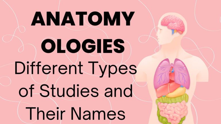 Anatomy Ologies :- Essential Fields of ImporHuman Body Studies | Sports ...